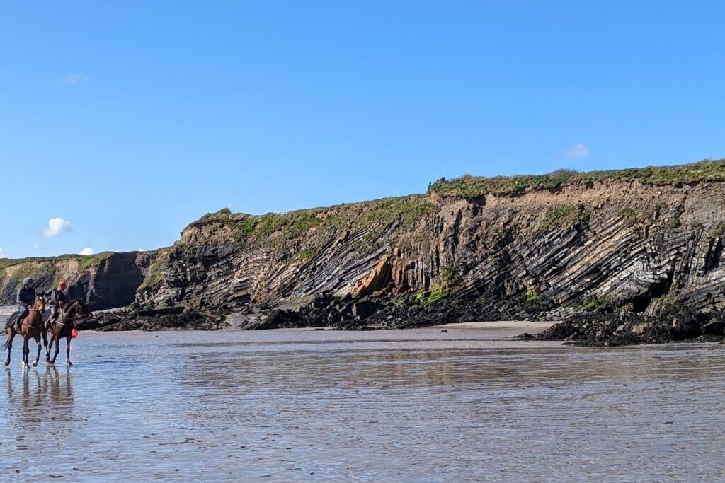 About Loughshinny - Loughshinny Village